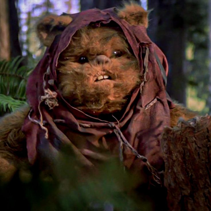 Ewok Geographic Location in Stellar Conflicts | World Anvil