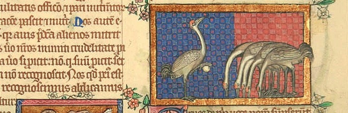 Consult an Expert in The Empire | World Anvil