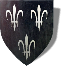 Temeria Organization in Witcher | World Anvil